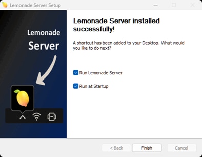 Rethinking Local AI Lemonade Servers Python Advantage